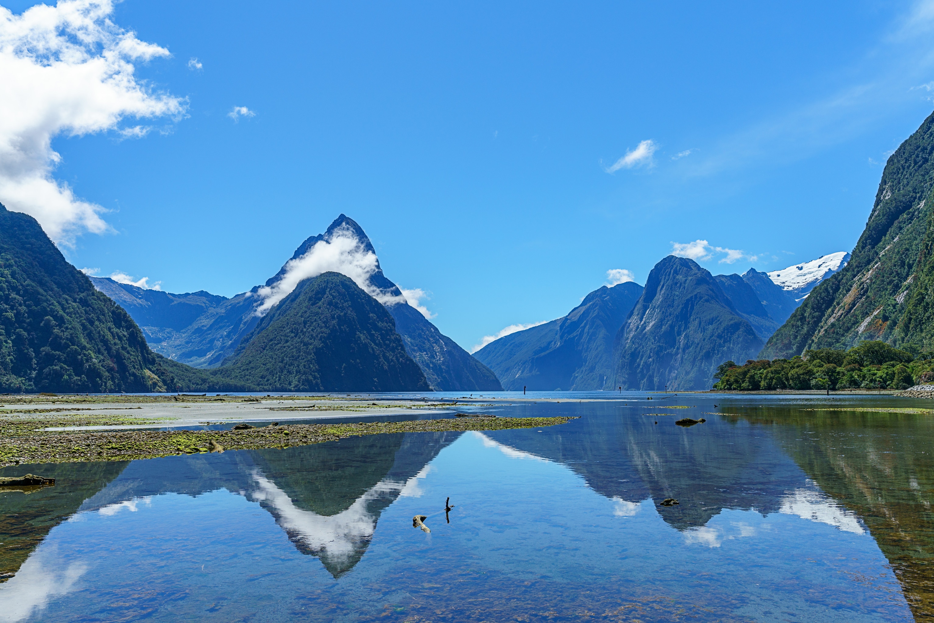 [반짝특가] 호주/뉴질랜드 10일 (블루마운틴/밀포드사운드/와이토모 동굴) | 온라인투어 패키지
