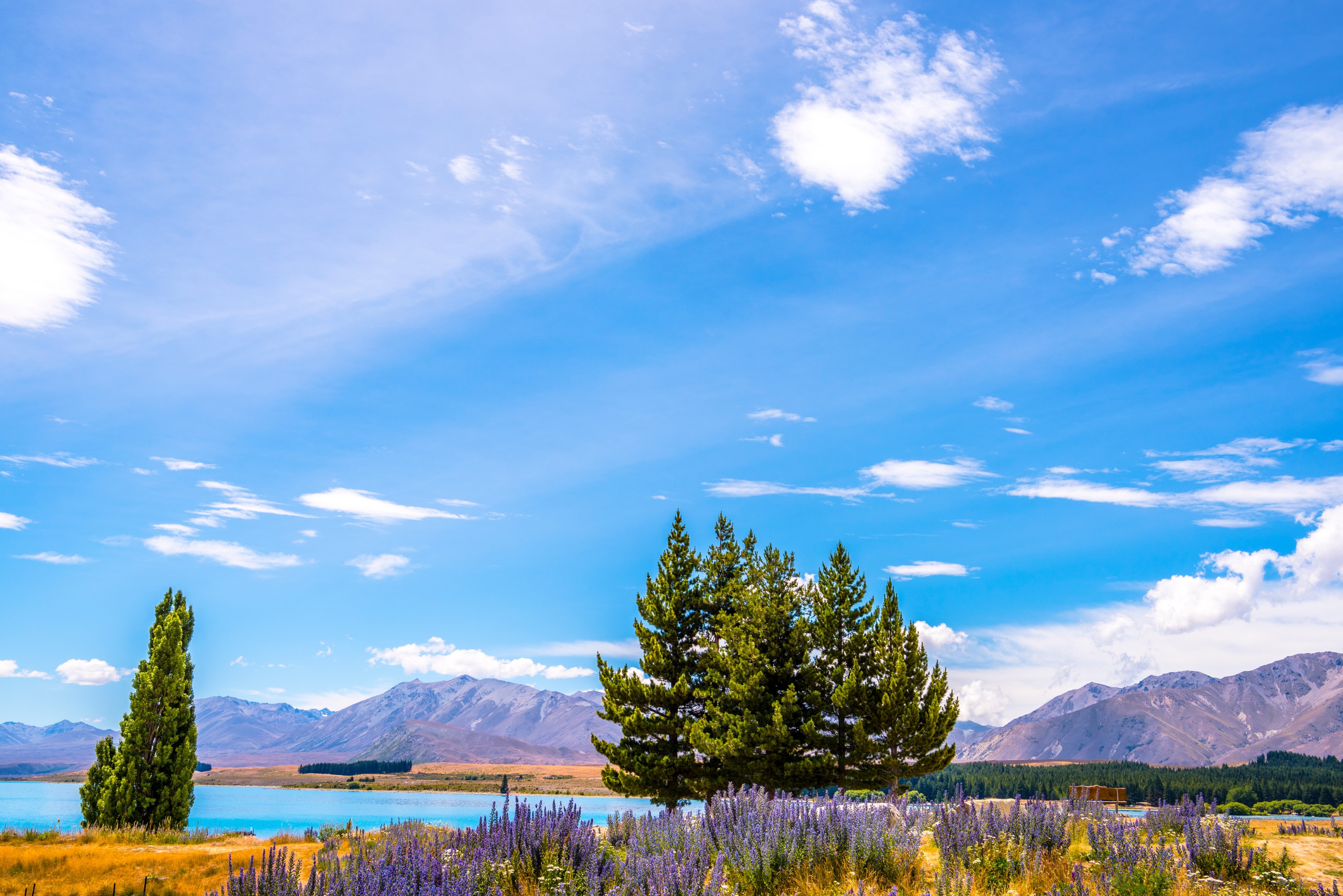 [비지니스 특가!] 호주/뉴질랜드 11일 (마운트쿡 트래킹 + 포트스테판 추가) | 온라인투어 패키지